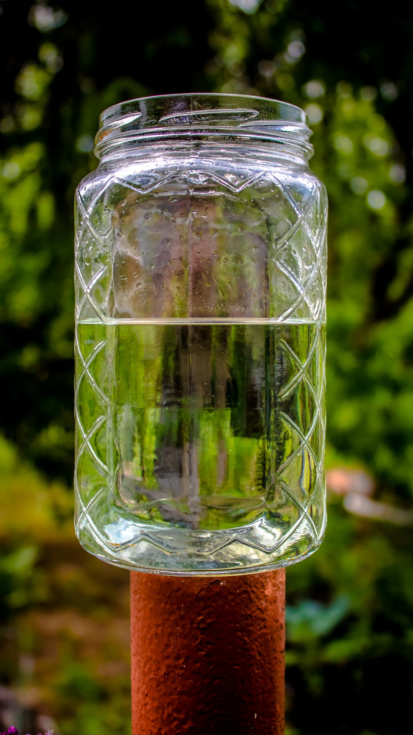 What is palinka the Hungarian spirit? | Budapest Market Tour