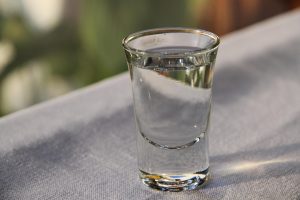 What Is Pálinka? A Chef’s Guide to Hungary’s Iconic Fruit Spirit